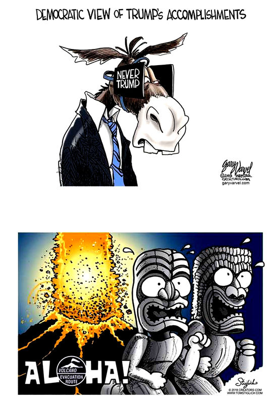 Conservative Cartoon of the Day - Townhall 5-14-2018: Conservative ...