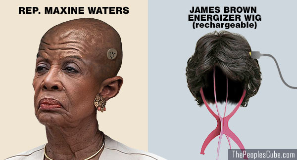 Fun facts about Maxine Waters: 1. Maxine Waters wears James Brown's ...