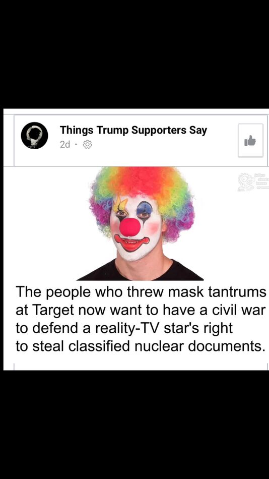 The perfect Trump supporter: Sometimes a little snap shot comes across ...