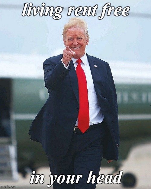 about our guns (Page 2): Inane meme from a dumb, lying ELWNJ with TDS.