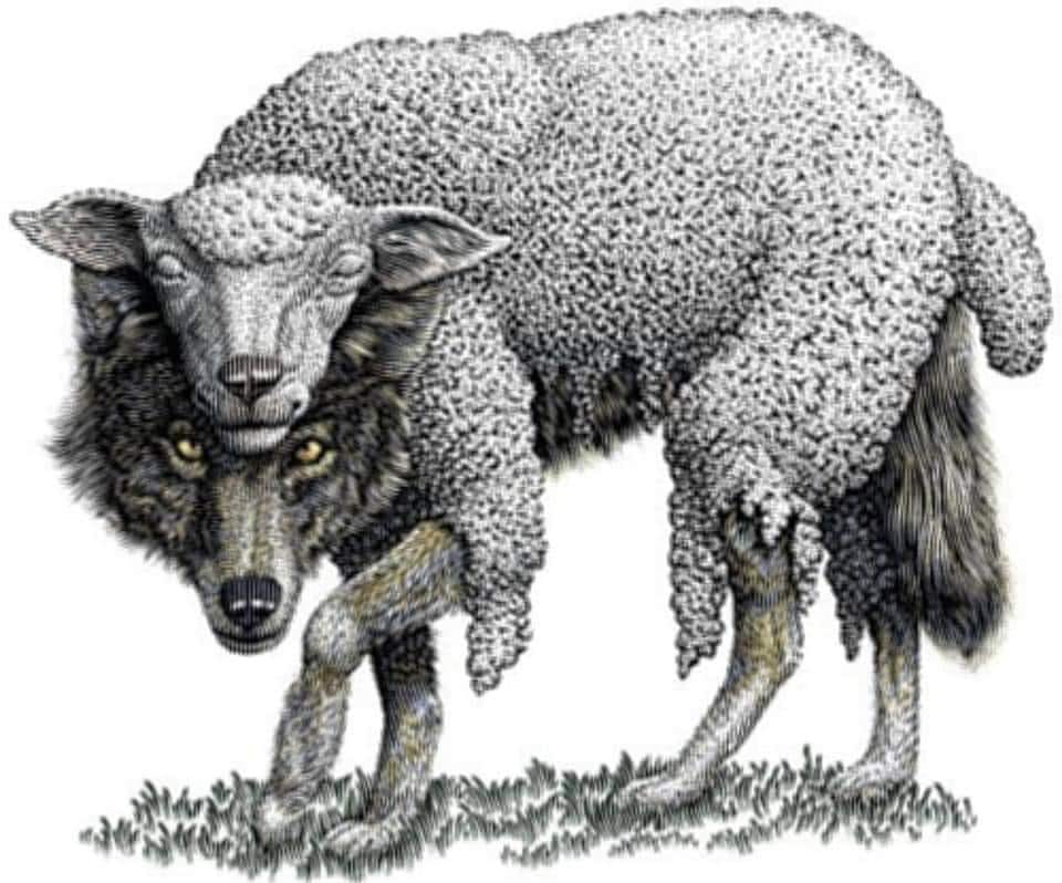 Wolf in Sheeps Clothing: Saw this on another board...... When I was a ...