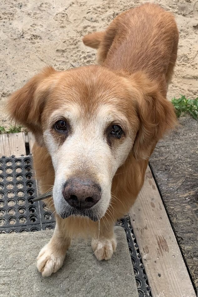 If you love someone.. If you love someone set them free. If you hate ...