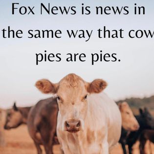 The fools at fox compared to... Conservative cow pies...