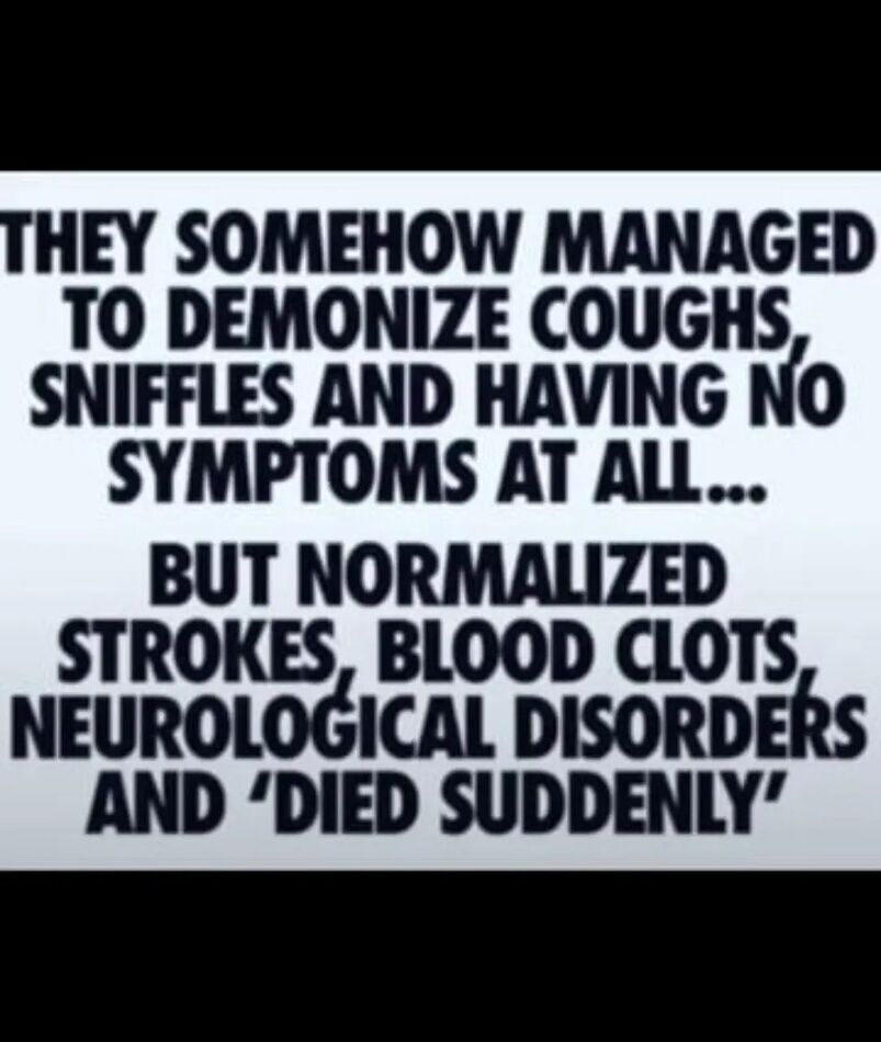 Another Professional Athlete Bites the Dust: "Professional basketball ...