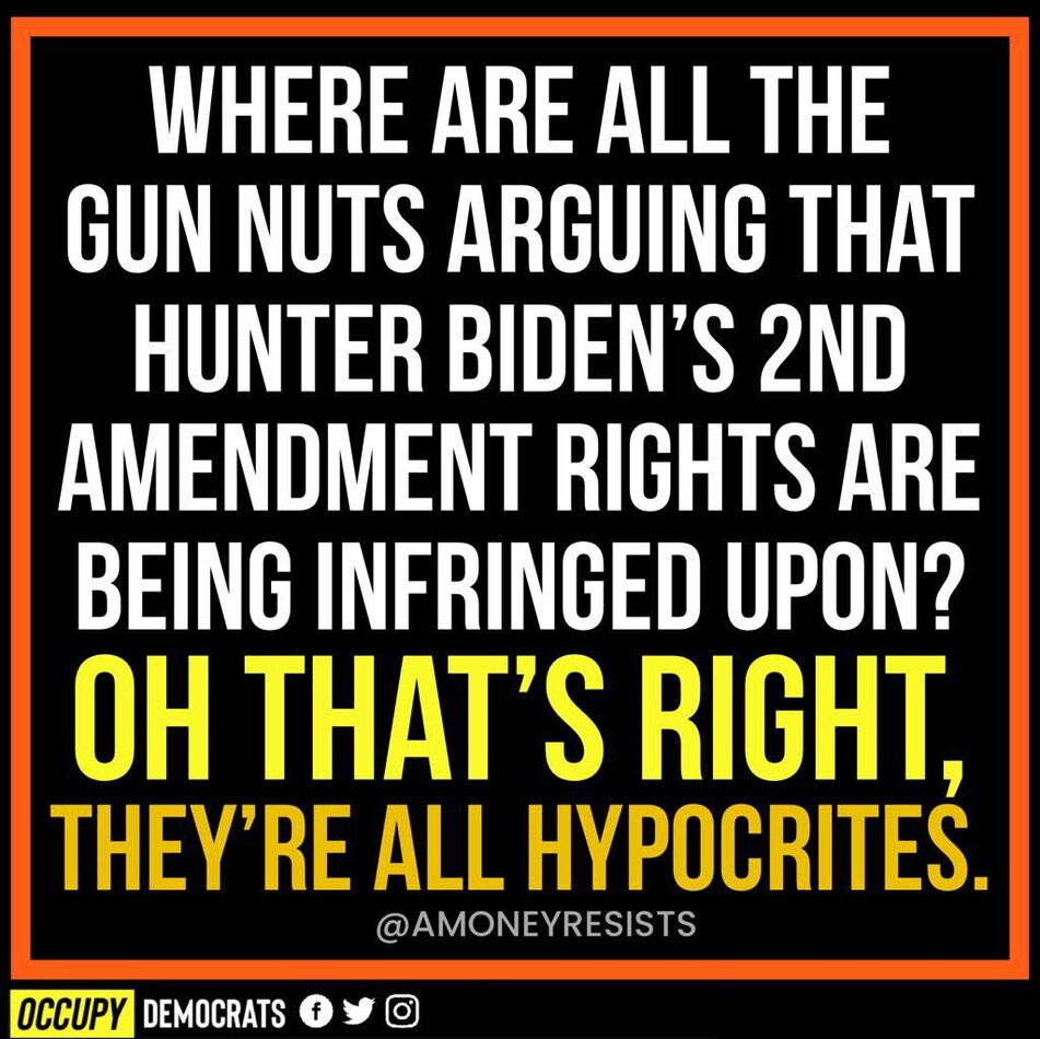 The silence of the guns: And the gun nuts who own them...