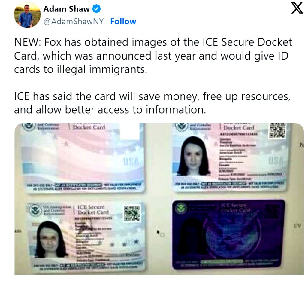 Biden's DHS Set to Give Illegal Aliens Photo ID Cards for 'Access to ...