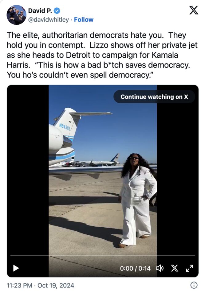 "You ho's couldn't even spell democracy!": Rapper 'Lizzo' boarded a ...