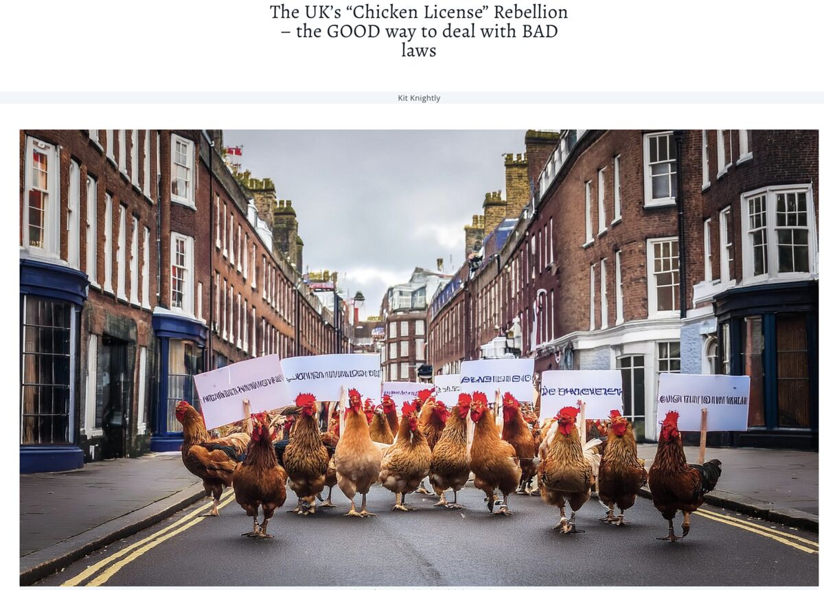 When Is A "Flock" Of Chickens Defined As One Chicken: "Back in March ...
