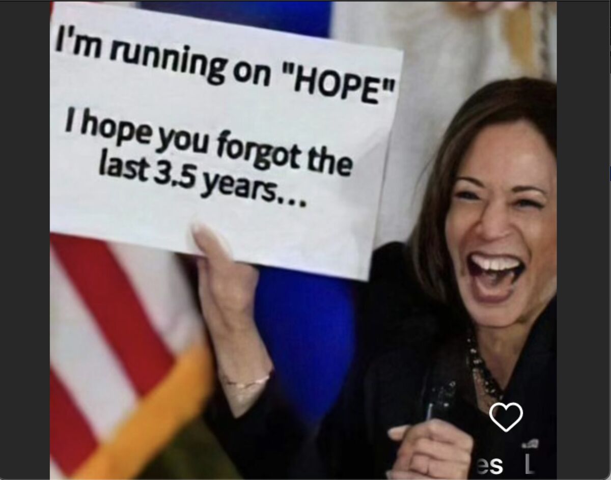 Harris/Walz Motto: Her version of Hope and Change!