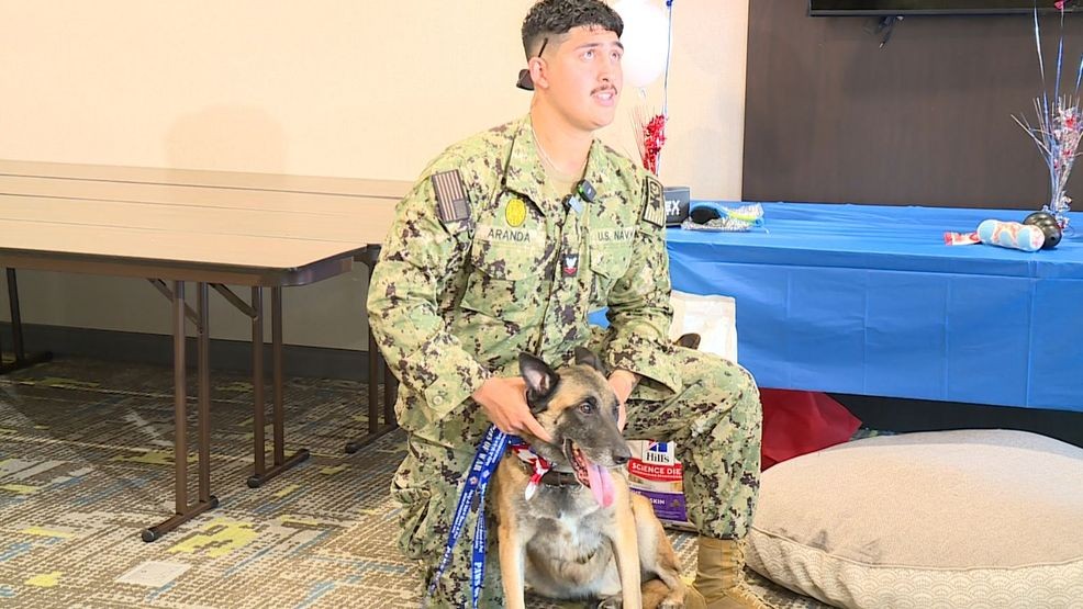Retired military dog, handler reunited at last -- and for good: Retired ...