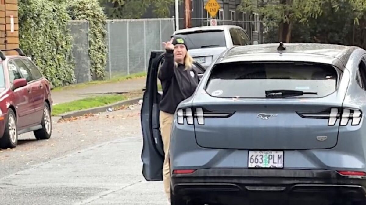 'I'm just a mom!' Panicked anti-ICE agitator begs for mercy as she's ...