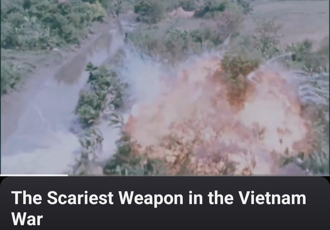 I will never forgive the terror and destruction we brought to Vietnam ...
