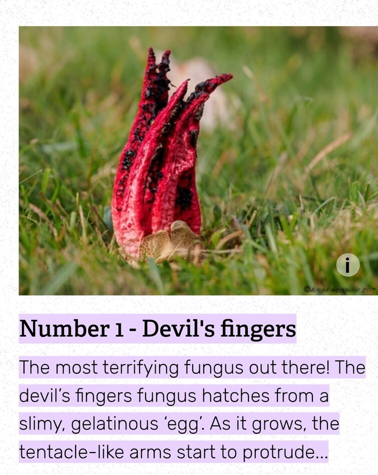 Those Crazy Chinese Genetic Scientists Modify Fungus Protein to Replace ...