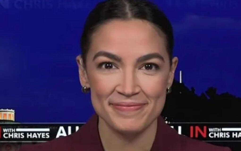 AOC taught her dog how to play chess: AOC taught her dog how to play ...