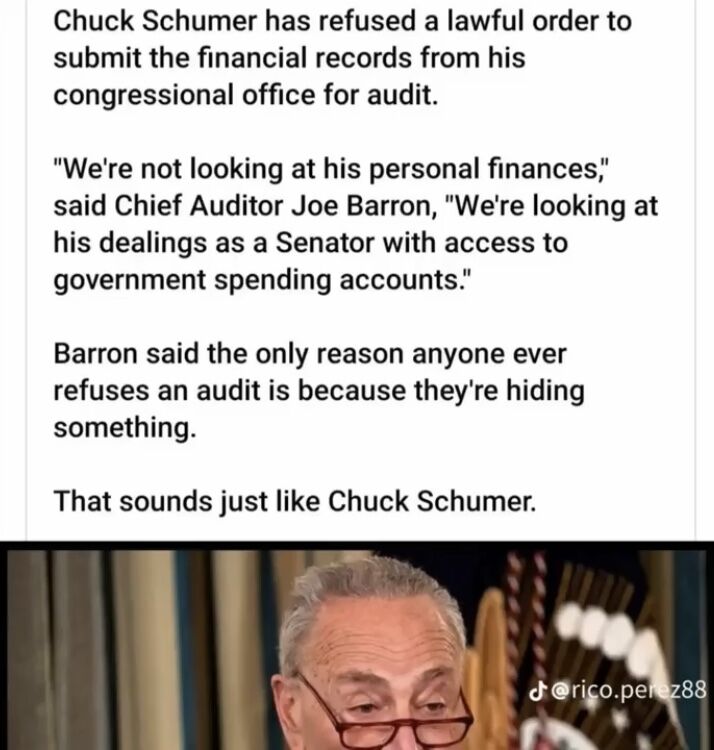 Schumer the idiot bizarrely blames DOGE for Mexican ship deadly ...