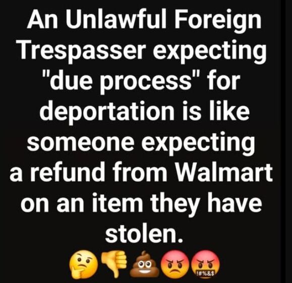 Protesters who protest deportation of illegal criminals: I wish they ...