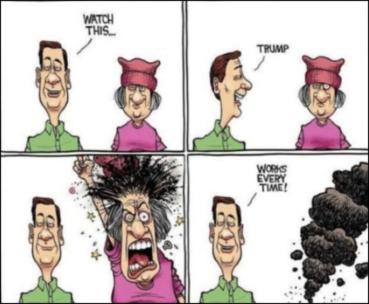 Finally...Someone Who Gets What TDS Is...The Real Definition: I've been ...