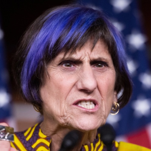 Jamie Raskin Calls Trump "M***n" at a Protest—Then Trump Makes Him Lose ...