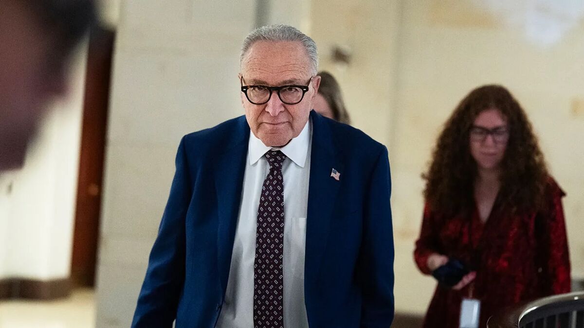 Senate Democrats threaten shutdown by blocking DHS funding after ...